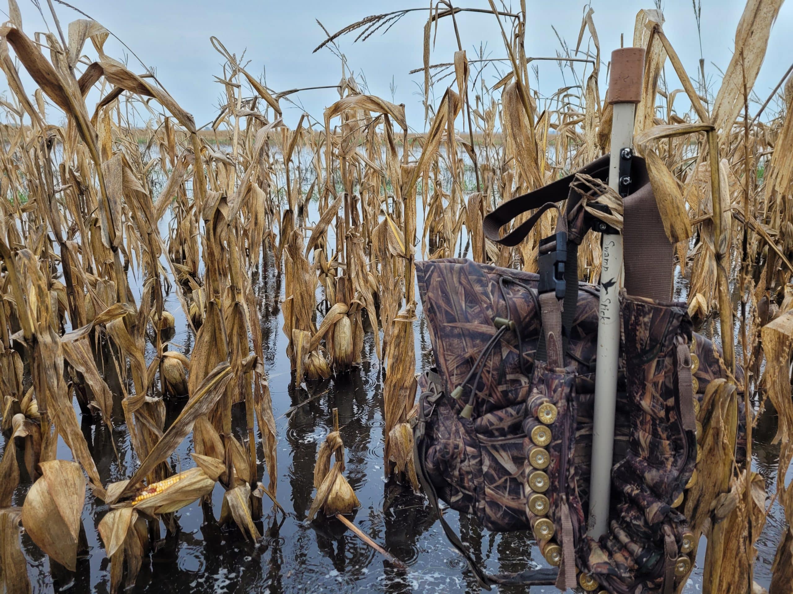 Partners & Sponsorships - Swamp Stick